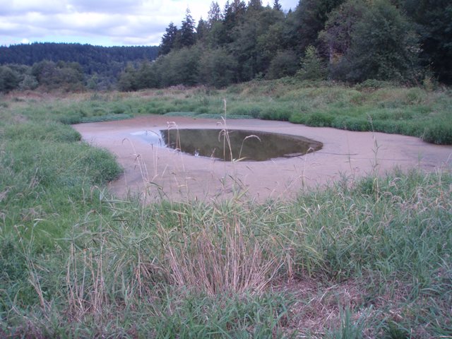 Ohop Valley Restoration: September 1st-15th Construction Photos – South ...