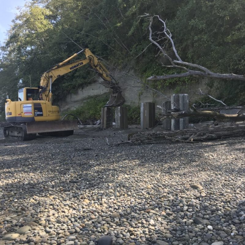 Little Fish Trap Estuary Restoration Complete! – South Puget Sound ...